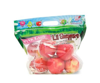 China Portable Clear Antifog Sustainable Vegetable Packaging Fresh Vegetable And Fruit Packaging for sale
