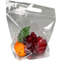 China Zip Lock Plastic Printed Ziplockk Bags With Logo Fruit Stand Up Pouch With Handle for sale