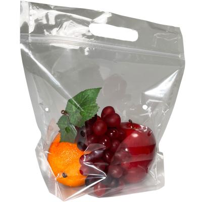 China Zip Lock Plastic Printed Ziplockk Bags With Logo Fruit Stand Up Pouch With Handle for sale