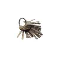 China High Quality KLOM gold steel padlock 40PCS universal test key for sale