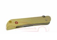China Foldable 7 In 1 Lock Picking Set Locksmith Tools Haoshi Fold Locksmith Tools (Yellow） for sale