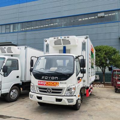 China Foton 4x2 day old baby chicken transport truck Plastic frp day old chicken truck for sale