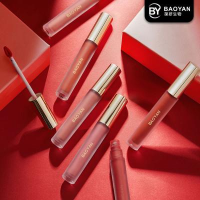 China Unlabeled Multi Color Matte Lip Gloss Cosmetic Bulk Beauty Lip Care for sale