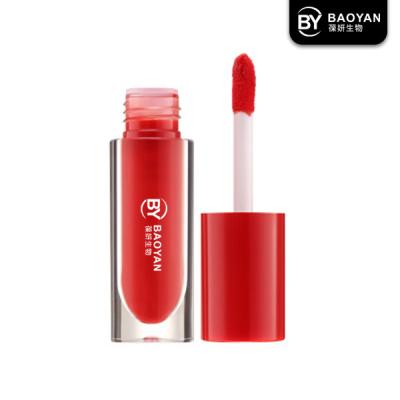 China Private Label Color Pop Lip Gloss , Waterproof Long Lasting Matte Lip Gloss for sale
