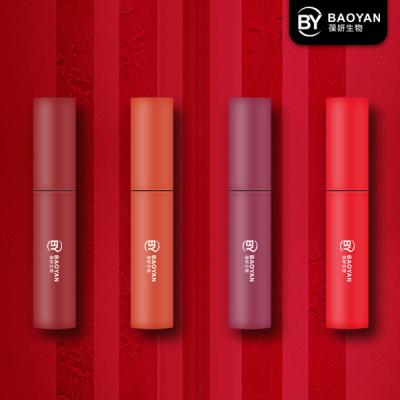 China Matte Tube Nourishing Long Lasting Moisturizing Lipstick Smudge Proof for sale