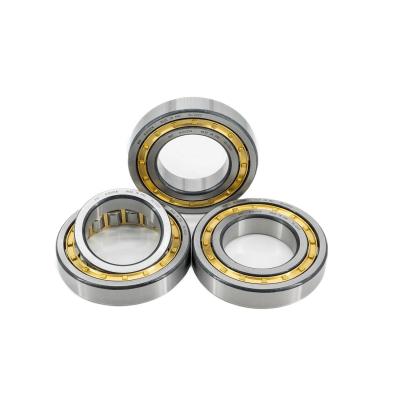 China N/NU/NJ/NF1009EM Cylindrical Roller Bearing 45*75*16mm for in Building Material Shops for sale