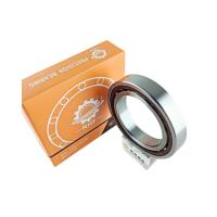 China 46117 Single Row 85*130*22mm Angular Contact Ball Bearing 7017AC for Your Requirement for sale