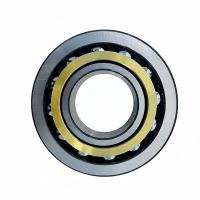 China 50*110*27mm Angular Contact Ball Bearing 7310BM with Standard Precision P0 P2 P4 P5 P6 for sale