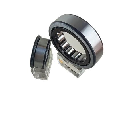 China Single Row 45*100*25mm NU/NJ/NF309ECP Cylindrical Roller Bearing with Oil Lubrication for sale