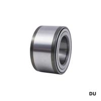 China Standard Vibration DU45800055-2RZ Auto Wheel Hub Bearing for Replace/Repair High Speed for sale