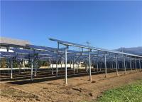 China Single Span Greenhouse Solar System Agriculture Plant Warm House Metallic Structure for sale