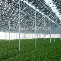 China Commercial Greenhouse Solar System Electric Power Galvanized Surface Treatment for sale