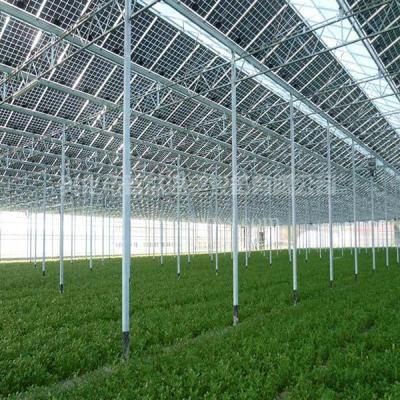 China Commercial Greenhouse Solar System Electric Power Galvanized Surface Treatment for sale