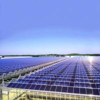 China Hot Dip Galvanized Steel Solar Panel Ground Mounting Systems Ground Plant Pile for sale