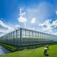 China Multi Purpose 500KW BIPV Greenhouse Solar System for sale
