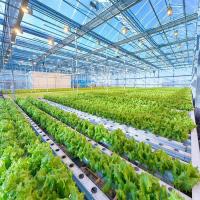 China Acid Corrosion Resistant Q345B Frame Greenhouse Solar System for sale
