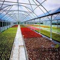 China Acid Corrosion Resistant Q345B Frame Greenhouse Solar System for sale