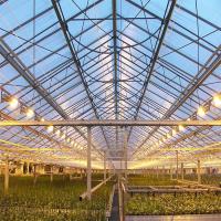 China Horizontal Vertical Metallic Single Span Greenhouse Solar System for sale