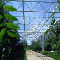 China Horizontal Vertical Metallic Single Span Greenhouse Solar System for sale