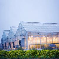 China Galvanized 12mm Thickness Film Greenhouse Solar System for sale