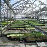 China Open Ground Integrated PV Panel Mounting Systems Thin Film Solar Garden Agriculture Greenhouse Support Brackets for sale