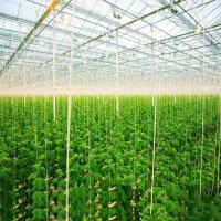 China Open Ground Integrated PV Panel Mounting Systems Thin Film Solar Garden Agriculture Greenhouse Support Brackets for sale