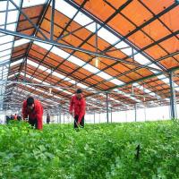China Hot Galvanized Steel Frame Thin Film Module Support Structure For Photovoltaic Greenhouses for sale