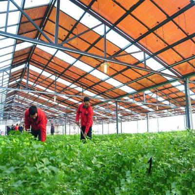 China Hot Galvanized Steel Frame Thin Film Module Support Structure For Photovoltaic Greenhouses for sale