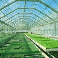China Hot Galvanized Steel Frame Thin Film Module Support Structure For Photovoltaic Greenhouses for sale