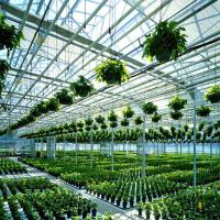 China 10-60 ° Horizontal Vertical Greenhouse Solar Systems 36.9m/S wind Load for sale
