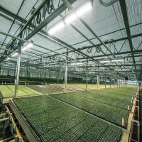 China A Frame Outdoor Irrigation Agricultural Solar Powered Greenhouse for sale
