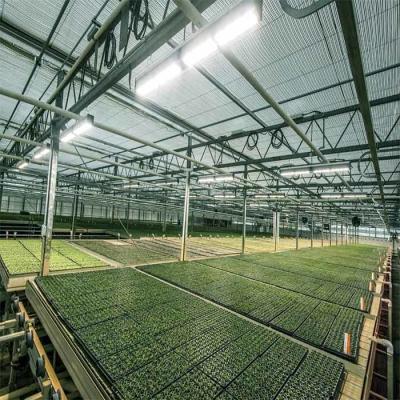 China A Frame Outdoor Irrigation Agricultural Solar Powered Greenhouse for sale