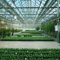 China A Frame Outdoor Irrigation Agricultural Solar Powered Greenhouse for sale