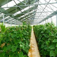 China Galvanized Anodized Solar PV Greenhouse With Shading System for sale