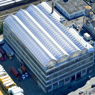 China Photovoltaic Single Multi Span Q235B Agricultural Greenhouse for sale