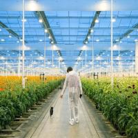 China Adjustable Light Sustainable Steel Film Greenhouse Solar System for sale