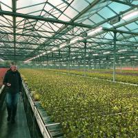 China Integrated PV Module Mounting Systems For Greenhouse for sale