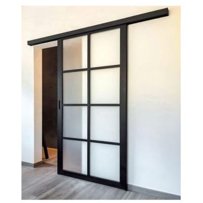 China Customized Affordable Steel Sliding Glass Barn Door for sale