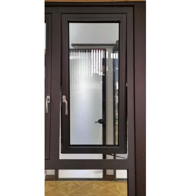 China Canopy Awning Aluminum Frame Double Glazed Windows Swing Open for sale