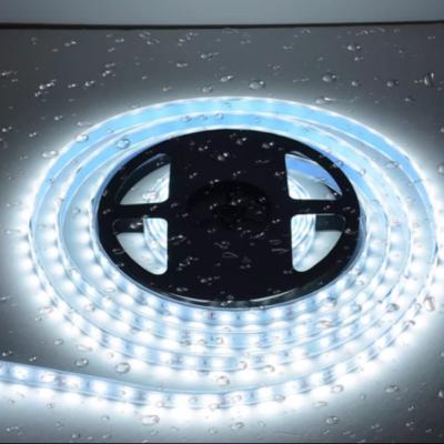 China 144W/roll Outdoor Waterproof LED Strip Lights in Warm White for Promotion for sale