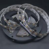 China 24v LED Strip Lights Color Selection 18-20LM/Lumen RGB/RGBW Modes for sale
