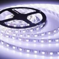 China Waterproof Low Voltage LED Light Strip 12V SMD5630 For Advertising Light Box for sale