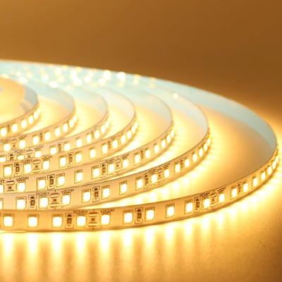 China 12V/24V LED Strip Light 16.4ft 300/600LEDs Flexible SMD2835 High Brightness Waterproof IP65 for sale