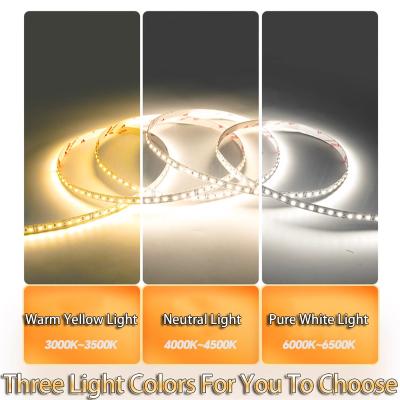 China Self-Adhesive 12V LED Light Strip for Low Voltage Patch 24V Counter Light Box 5m/reel for sale