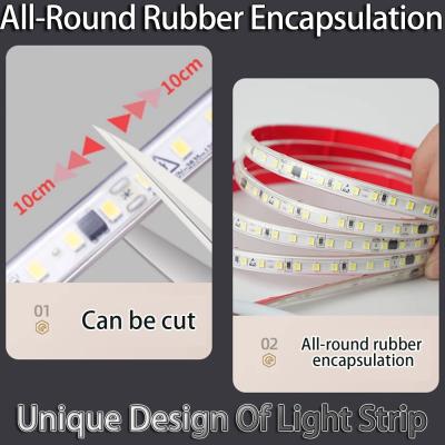 China Low Voltage 12V/24V LED Light Strip with Epistar Chip for Bright and Energy- Illumination for sale