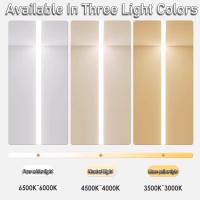 China 12V Super Bright and 24V No Voltage Drop LED Light Strip with Self-Adhesive Backing for Flexible Linear Lighting for sale