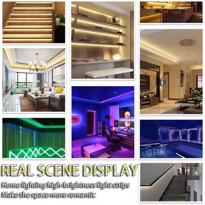 China Low-voltage 12V/24V High-brightness 2835/2025 Flexible LED Strip with Multiple Width Options for Versatile Lighting for sale