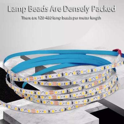 China 24V60 10-Segment Breakpoint Continuous RGBW LED Light Strip for Banquet Halls for sale