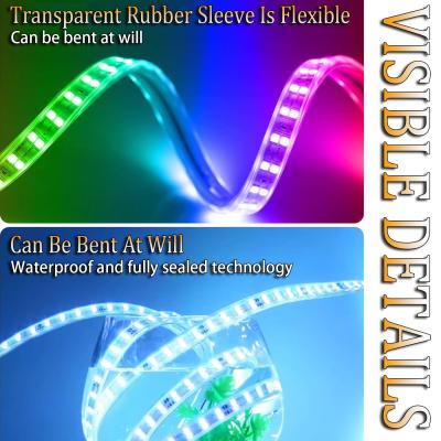 China Multi-Color Changing Waterproof RGB Light Strip with Smart Remote Control for Living Room and Ceiling Decoration for sale