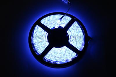China High Brightness 14.4w LED Flexible Strip Lights 22LM 24LM Waterproof Rgbw for sale